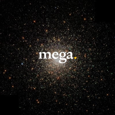 Mega - The Forces That Shape Our Future